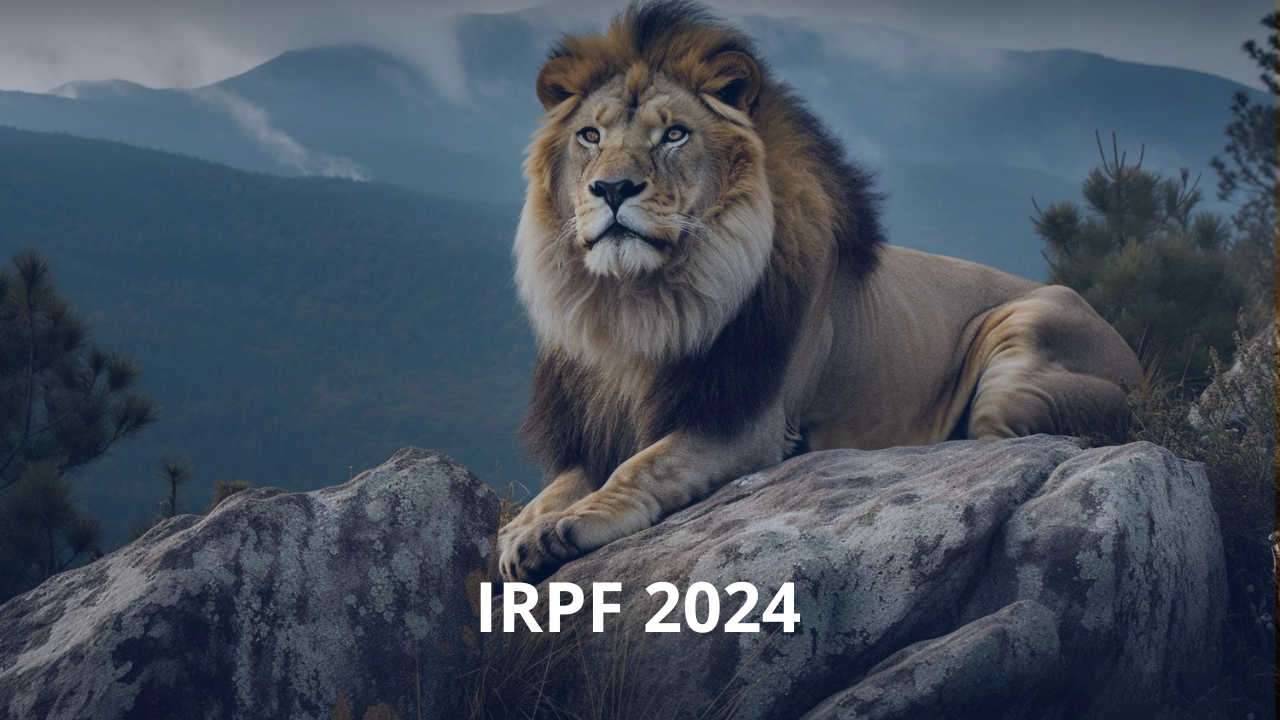 IRPF 2024: o que você precisa saber antes do prazo
